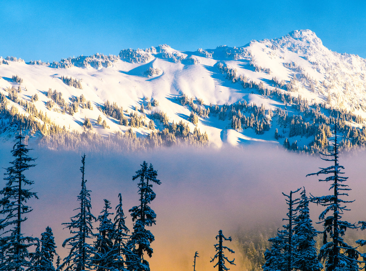 How 2020 Made us a Better Company – TREW Gear